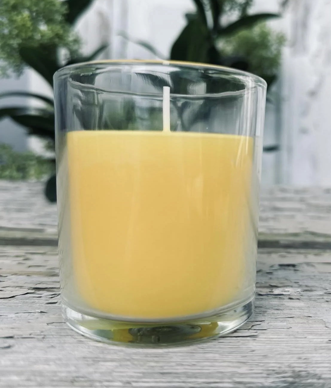 Citronella mod myg | Effektivt middel mod myg – VIAMAJA