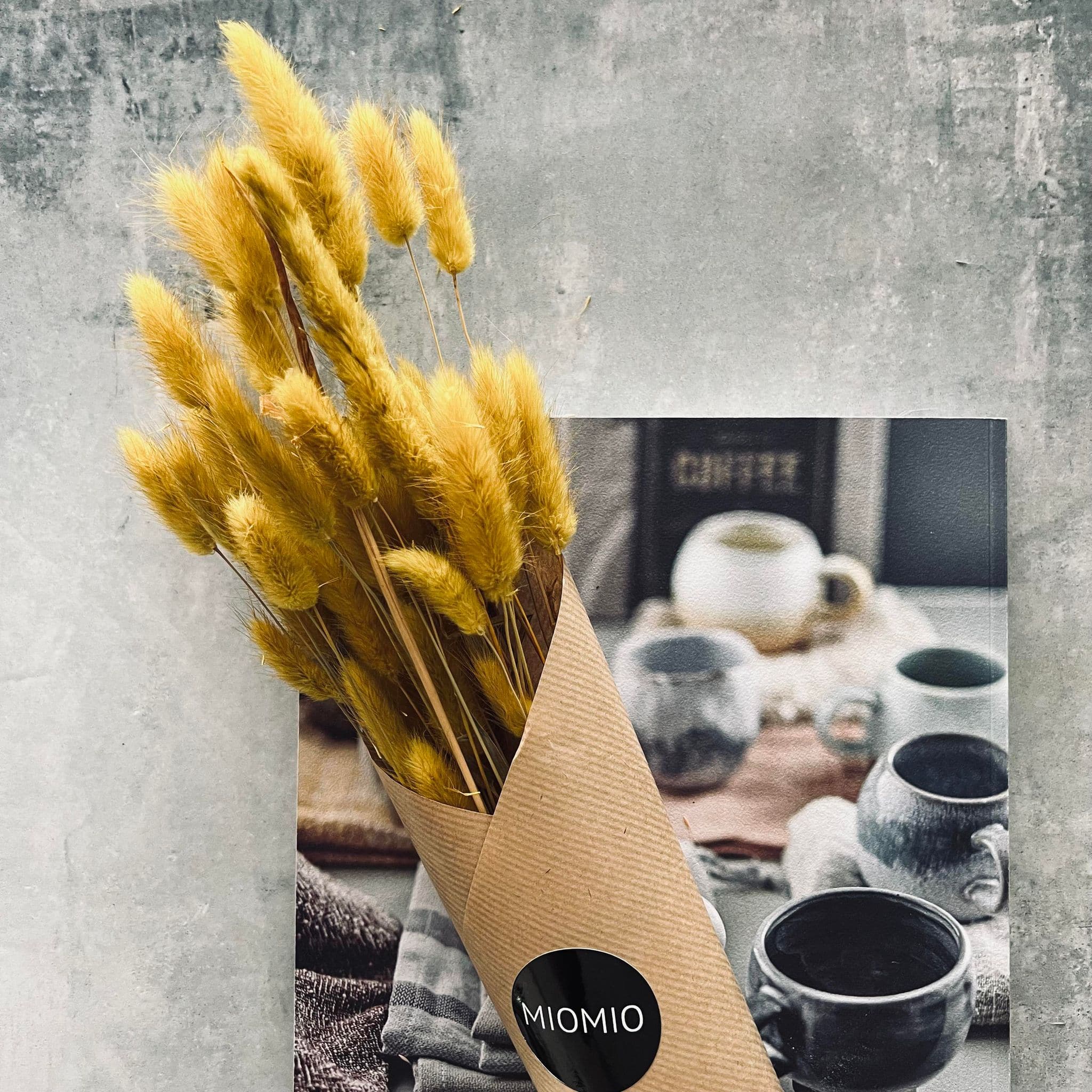 Lagurus Sennep – VIAMAJA