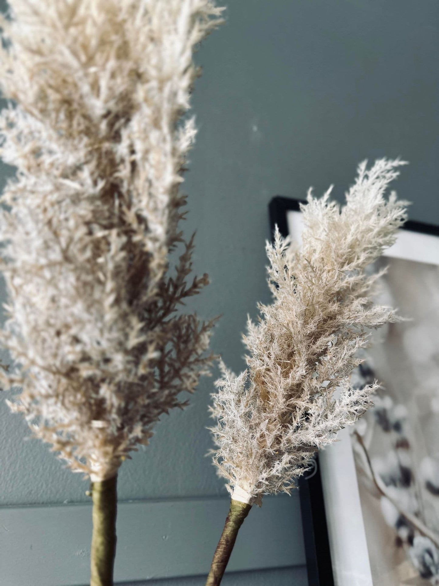 Pampas med LED lys og timerfunktion – varm hvid – VIAMAJA